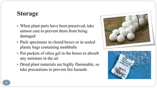 Preservation of plant specimen caused by Nematode | PPTX