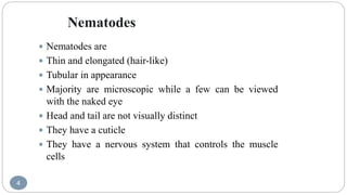 Preservation of plant specimen caused by Nematode | PPTX
