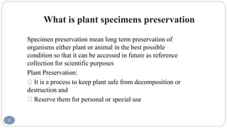 Preservation of plant specimen caused by Nematode | PPTX