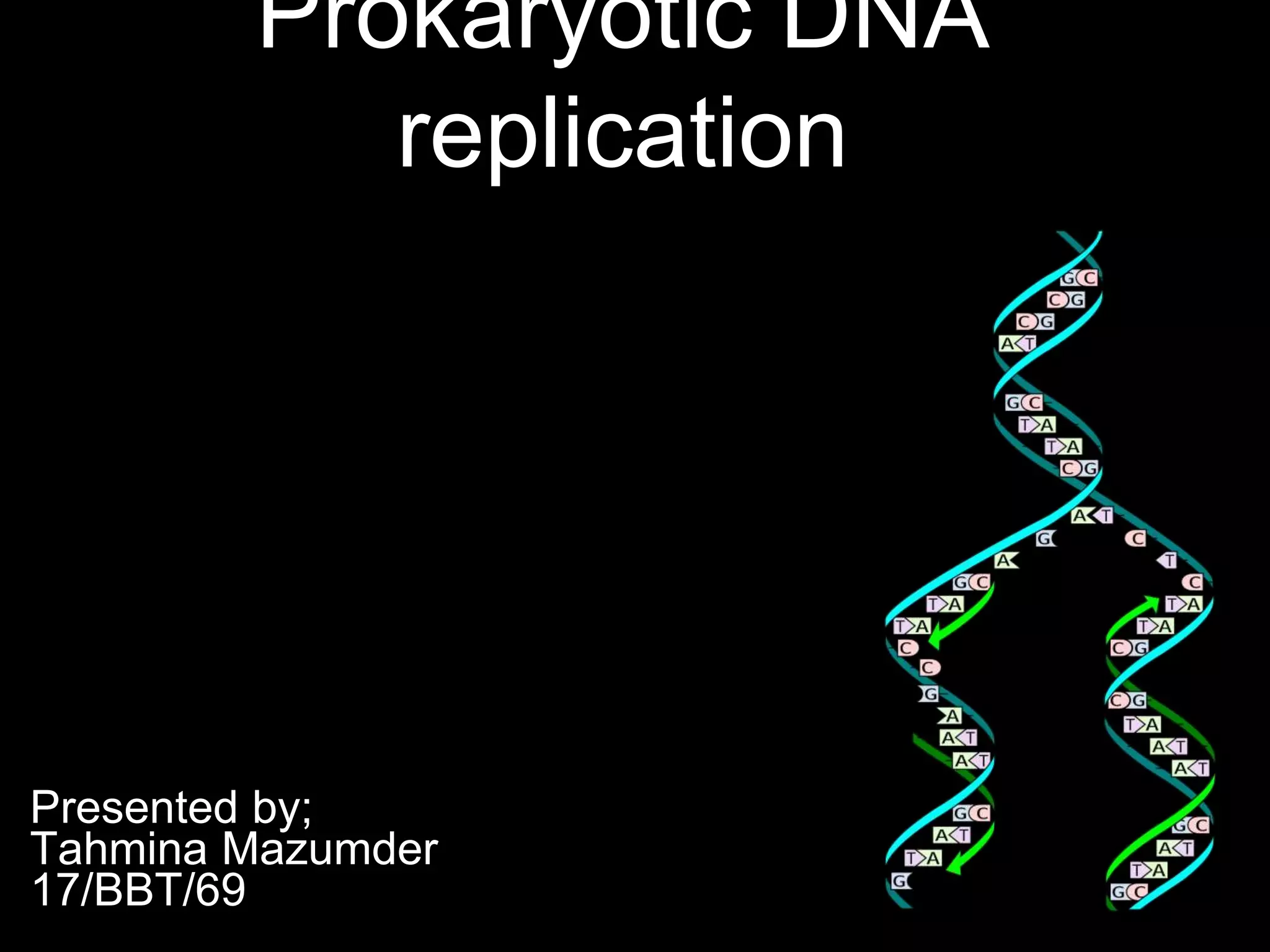 PROKARYOTIC DNA REPLICATION PRESENTATION | PPTX