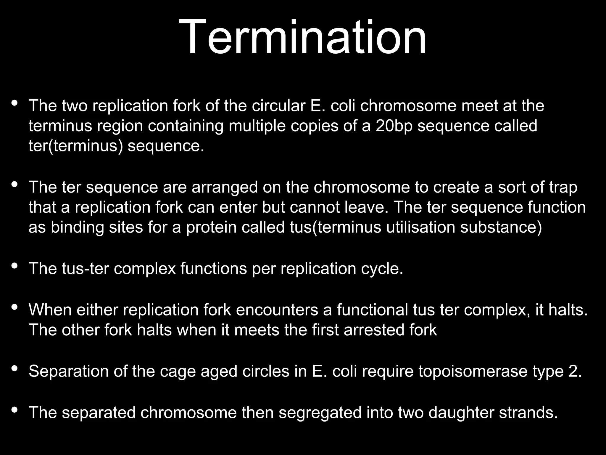 PROKARYOTIC DNA REPLICATION PRESENTATION | PPTX