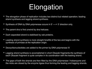 PROKARYOTIC DNA REPLICATION PRESENTATION | PPT