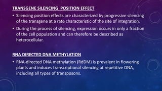 Presentation | PPTX | Genetics | Science