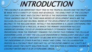 Presentation (4) (1).pptx