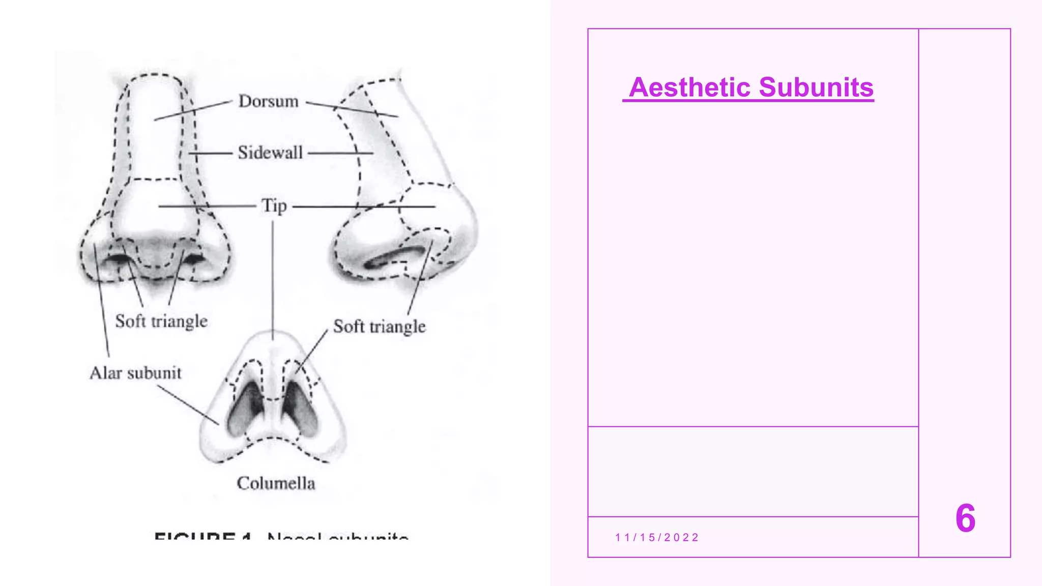 Nasal Reconstruction | PPTX