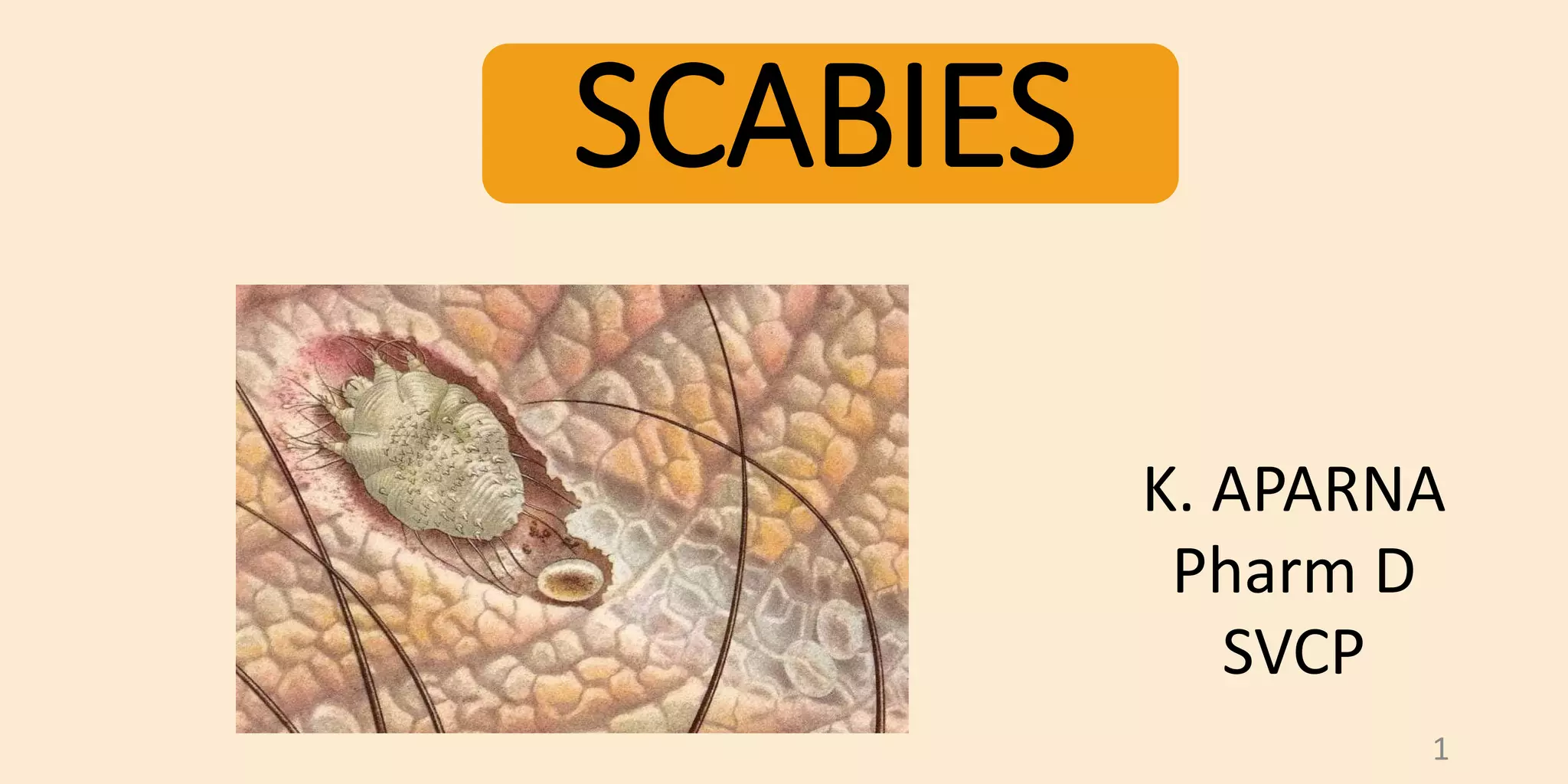 SCABIES PHARMACOTHERAPY | PDF