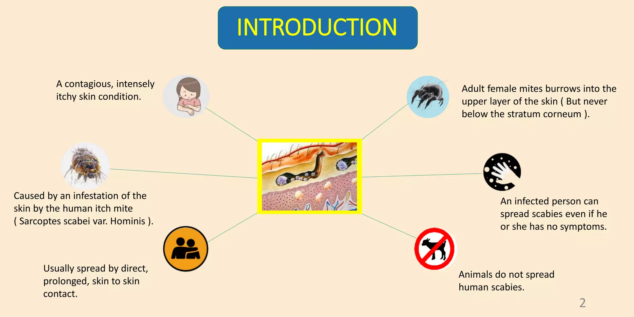 SCABIES PHARMACOTHERAPY | PDF