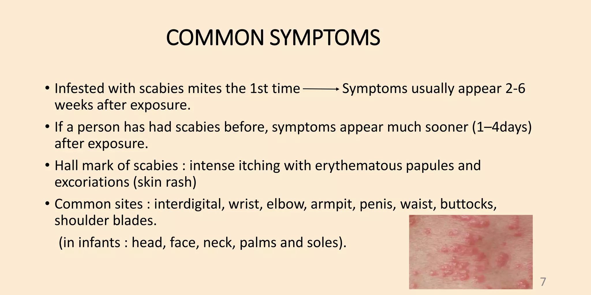 SCABIES PHARMACOTHERAPY | PDF