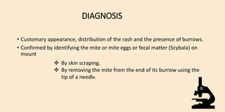 SCABIES PHARMACOTHERAPY | PDF