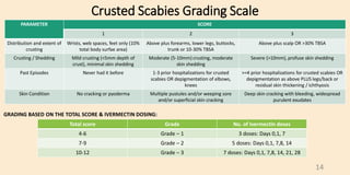 SCABIES PHARMACOTHERAPY | PDF