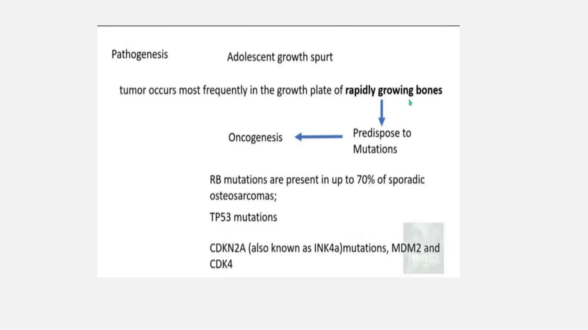 Presentation (4) (3).pptx Malignant bone tumours presentation, classification, management | PPT
