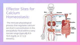 Calcium homeostasis and kidney regulation of acid and base pptx | PPTX