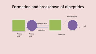 BIOLOGY FORM 4 CHAPTER 4 | PPTX