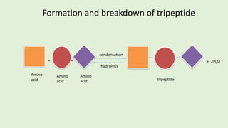 BIOLOGY FORM 4 CHAPTER 4 | PPTX