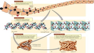 BIOLOGY FORM 4 CHAPTER 4 | PPTX