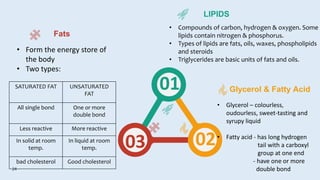 BIOLOGY FORM 4 CHAPTER 4 | PPTX