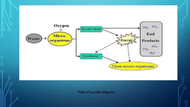 Aerobic and anaerobic digesters | PDF | Digestive Disorders | Diseases ...