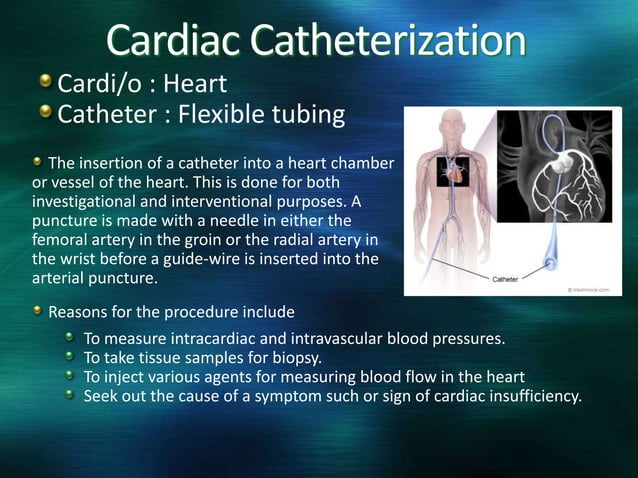 Presentation 5 | PPT