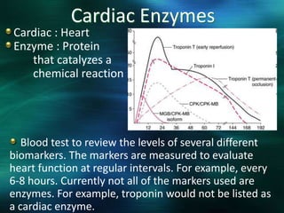 Presentation 5 | PPT