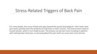 Stress-Related Triggers of Back Pain | PPTX