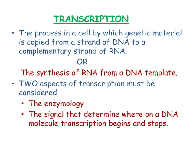 Transcription and the various stages of transcription | PPT