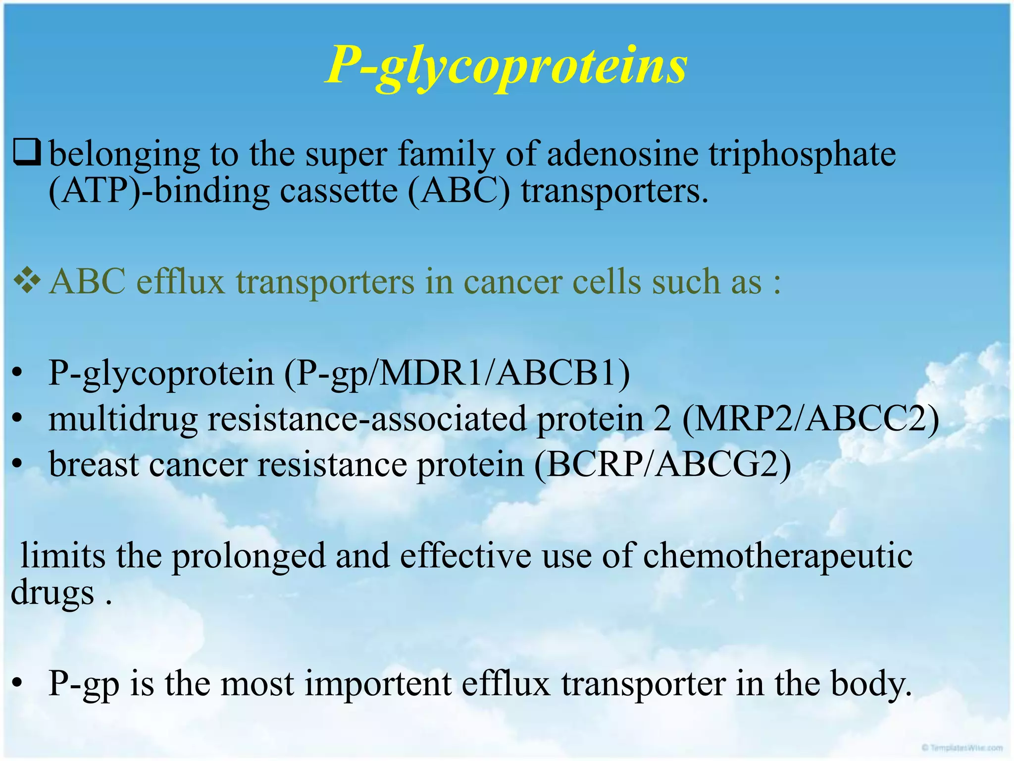 p-glycoprotein | PPTX