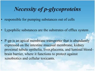 p-glycoprotein | PPTX