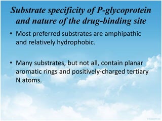 p-glycoprotein | PPTX