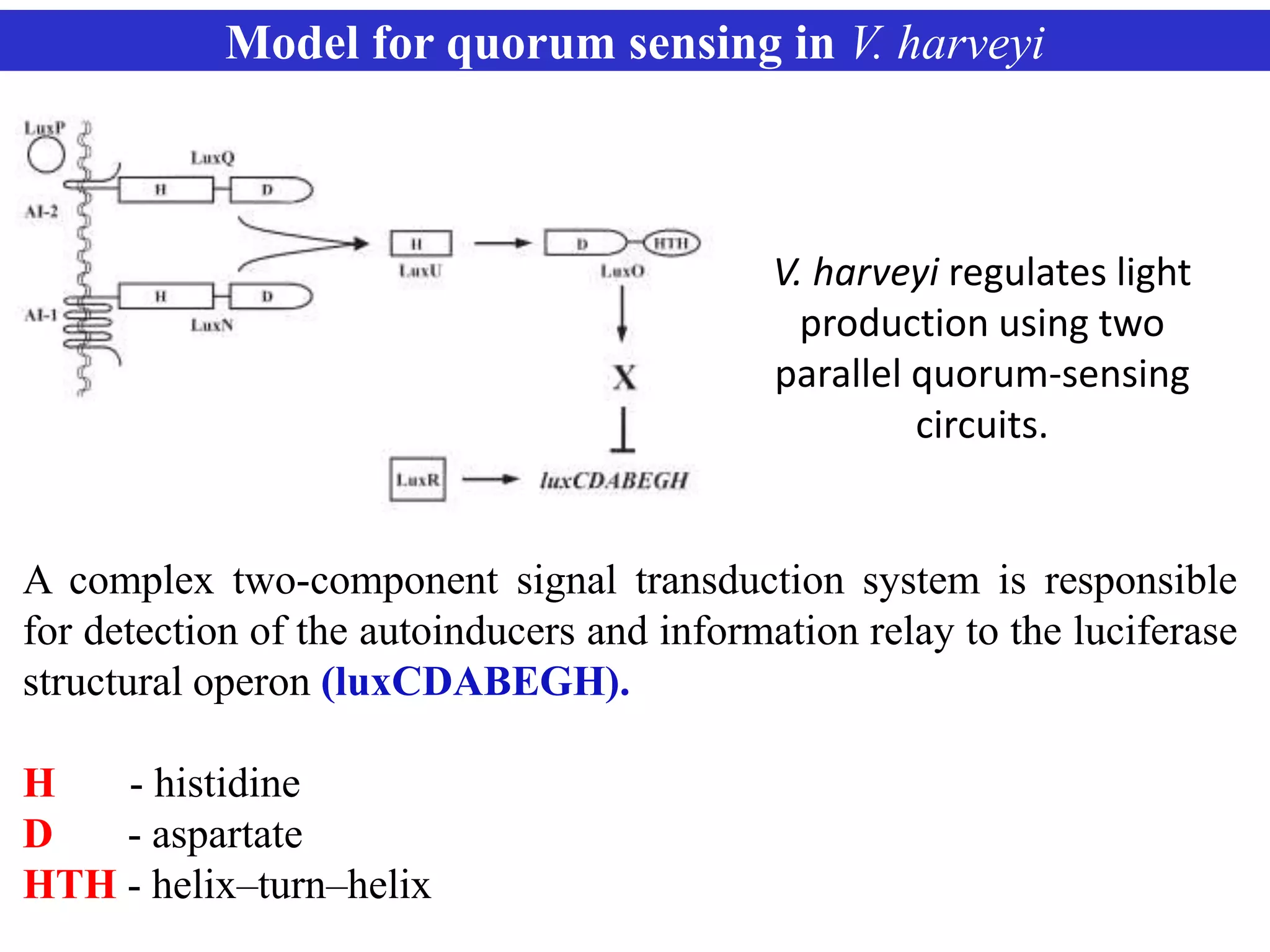 Microbial Quorum Sensing - lux S | PPTX