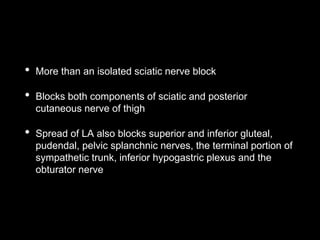 sacral plexus block | PPTX
