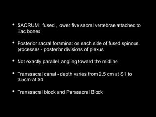 sacral plexus block | PPTX