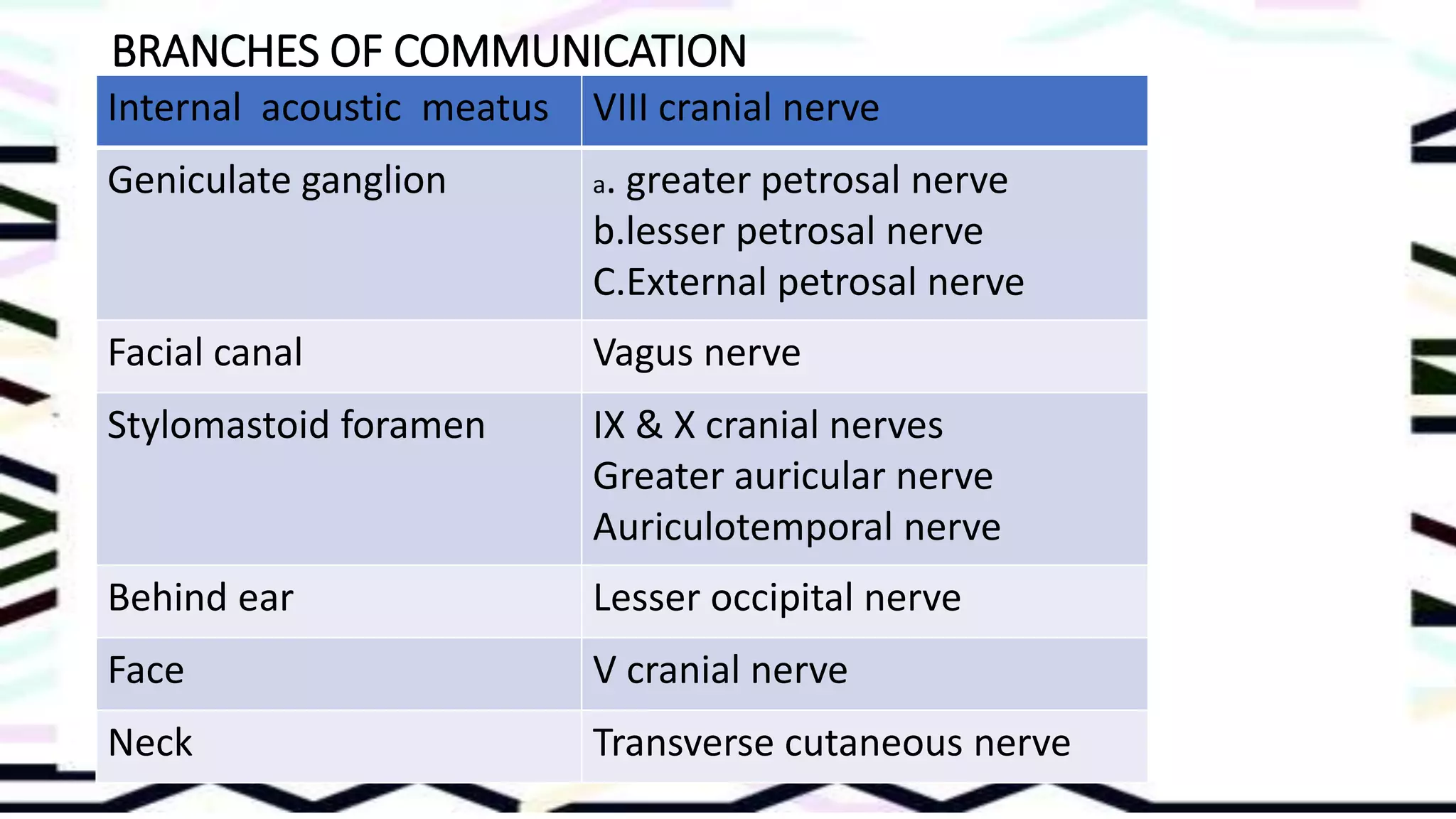 facial nerve | PPTX