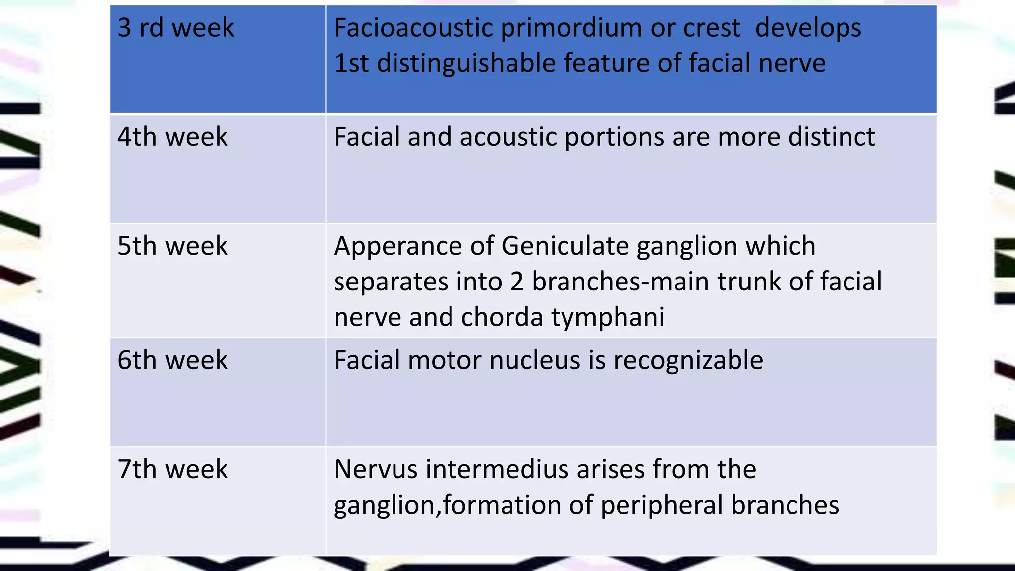 facial nerve | PPTX