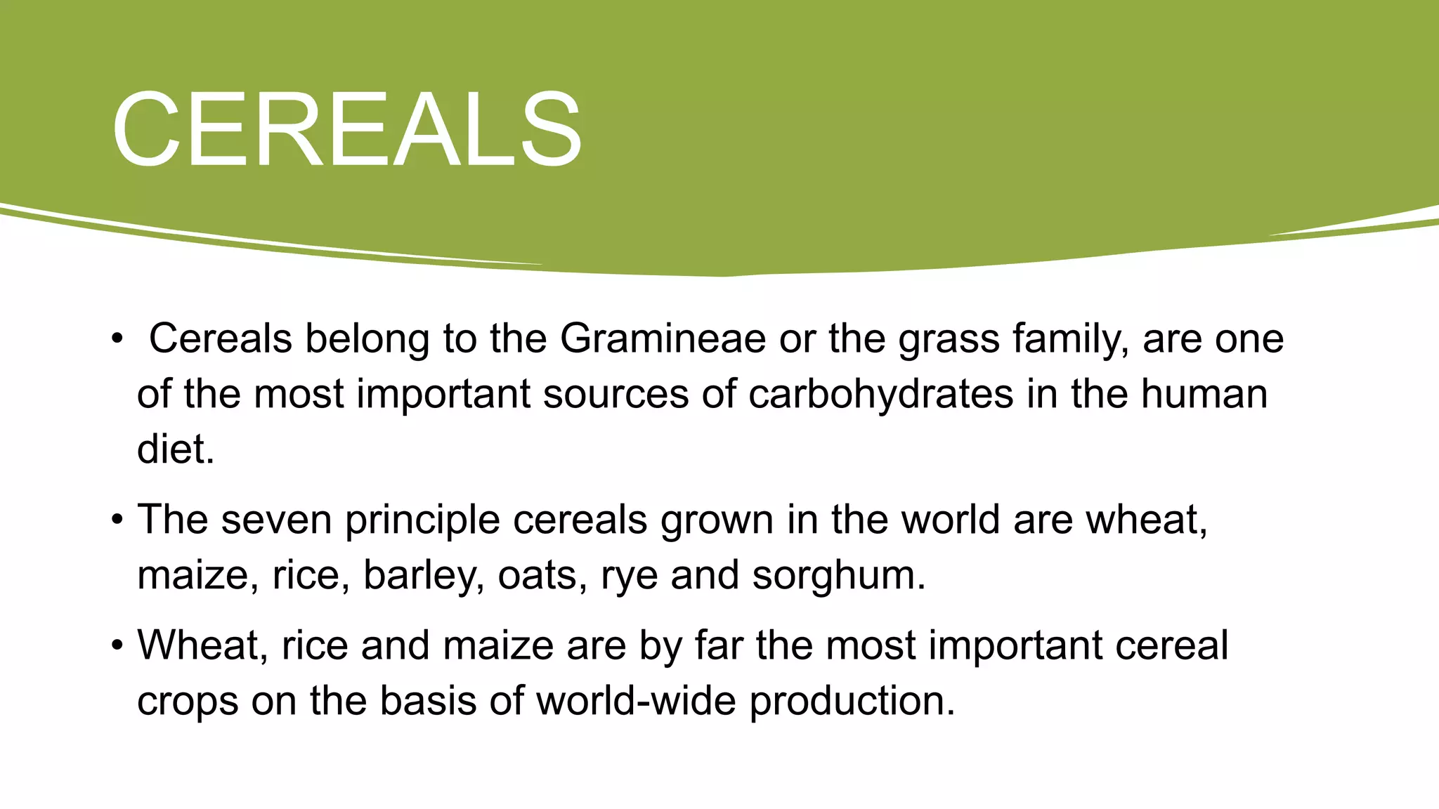 microbiology of cereal and cereal products | PPTX