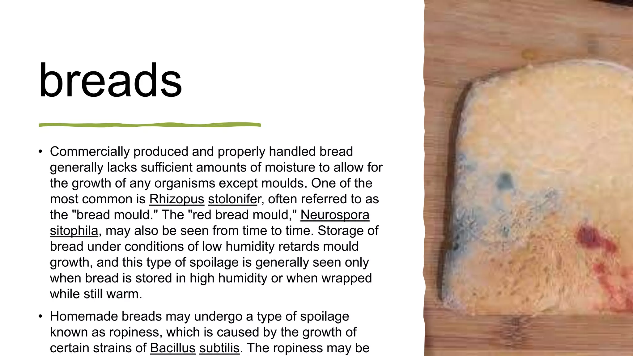 microbiology of cereal and cereal products | PPTX