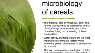 microbiology of cereal and cereal products | PPTX