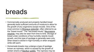 microbiology of cereal and cereal products | PPTX