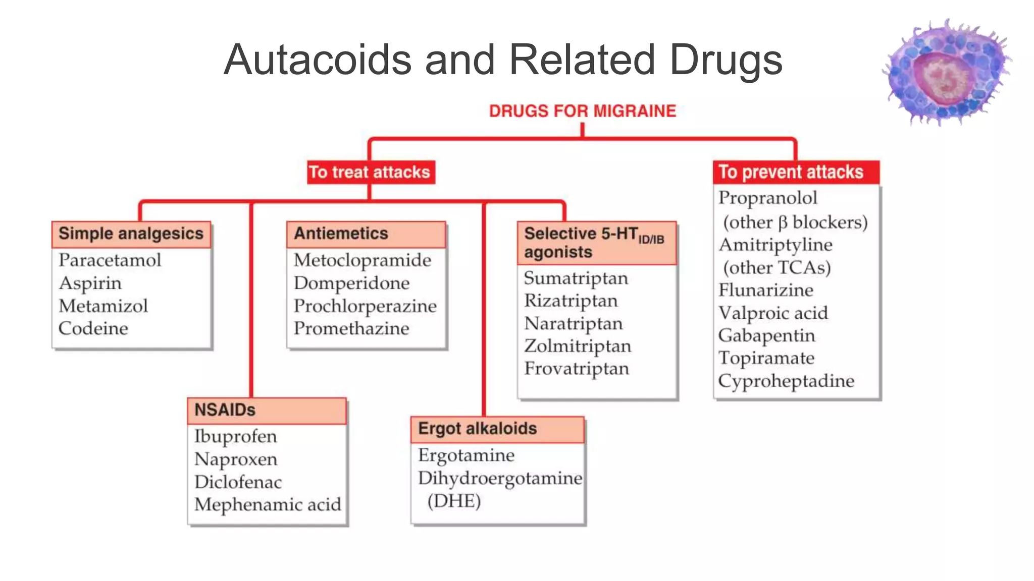 Pharmacological Classification Of Drugs | PPTX