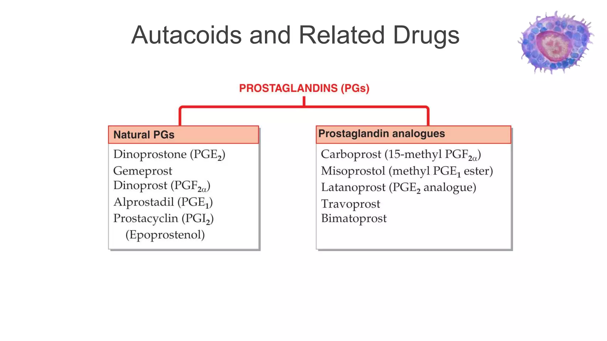 Pharmacological Classification Of Drugs | PPTX