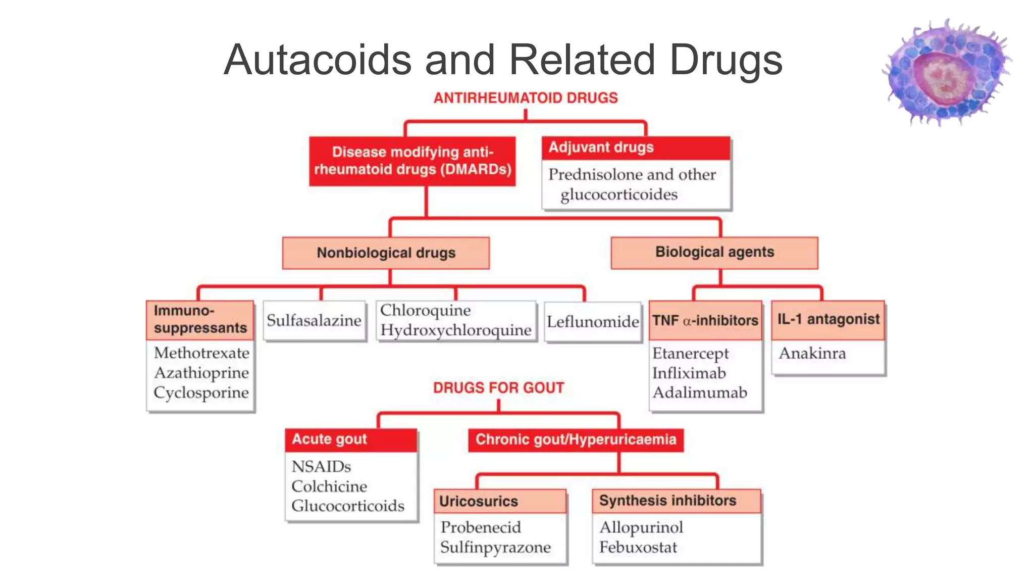Pharmacological Classification Of Drugs | PPTX