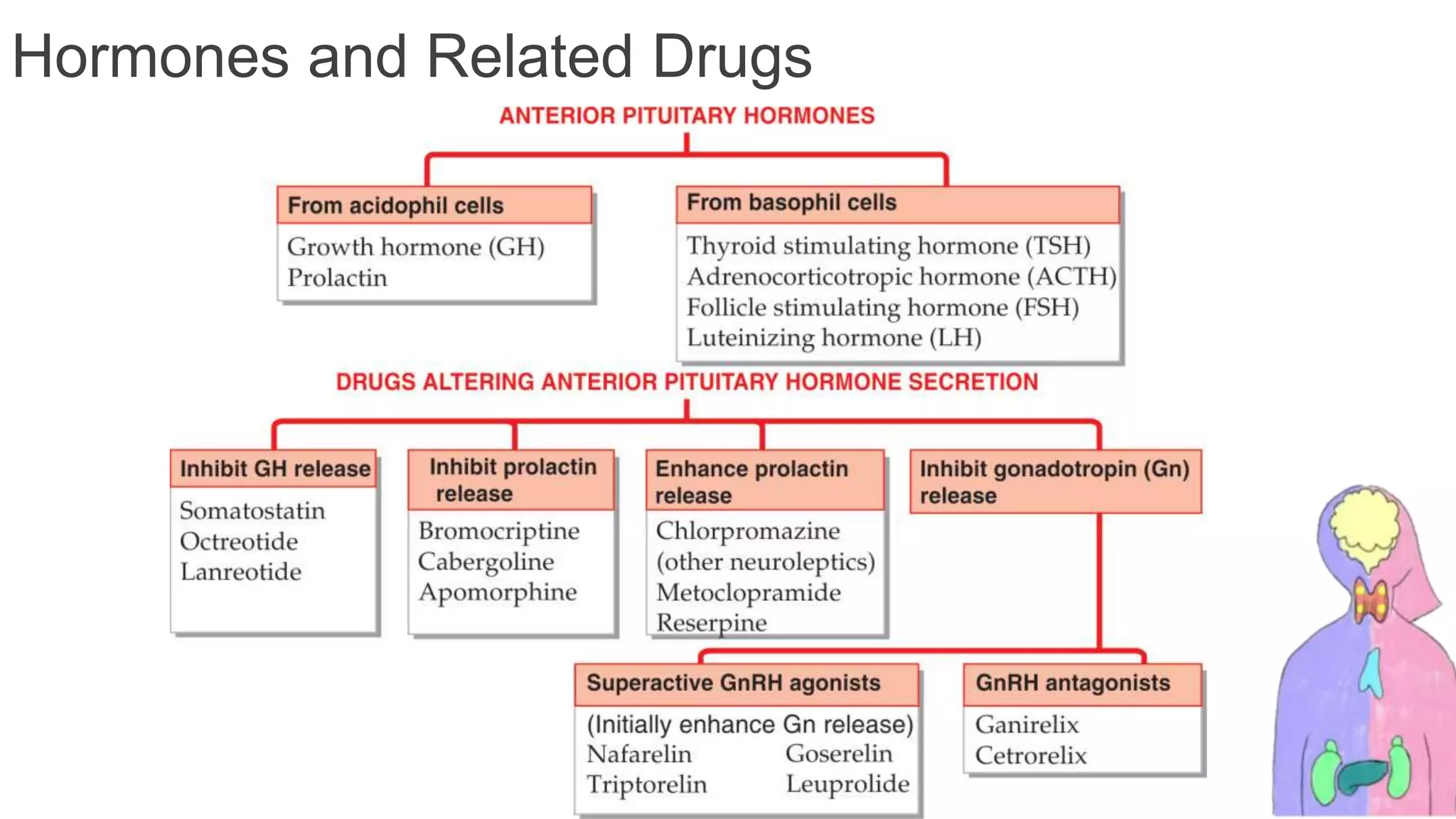 Pharmacological Classification Of Drugs | PPTX
