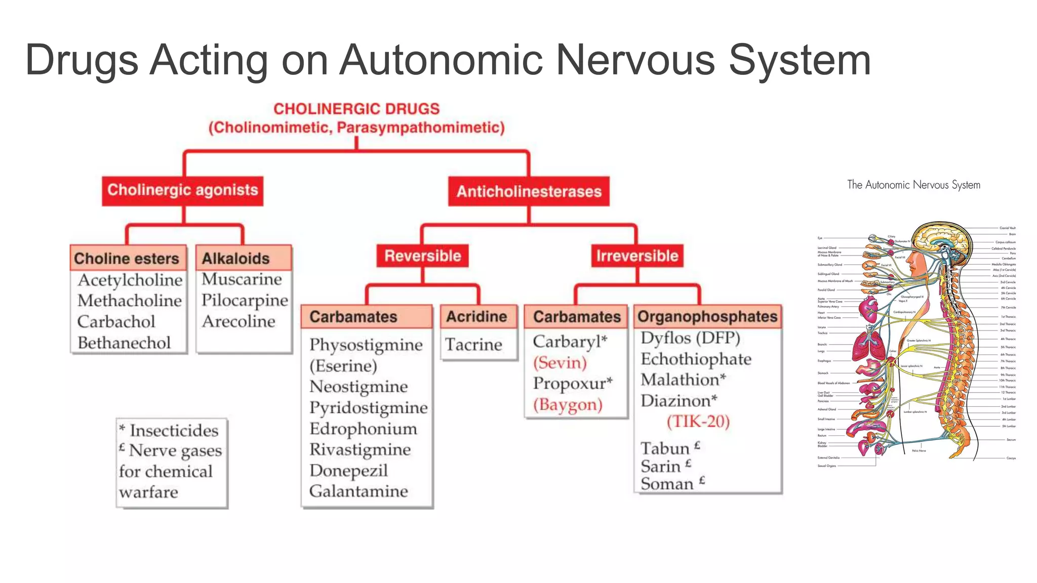 Pharmacological Classification Of Drugs | PPTX