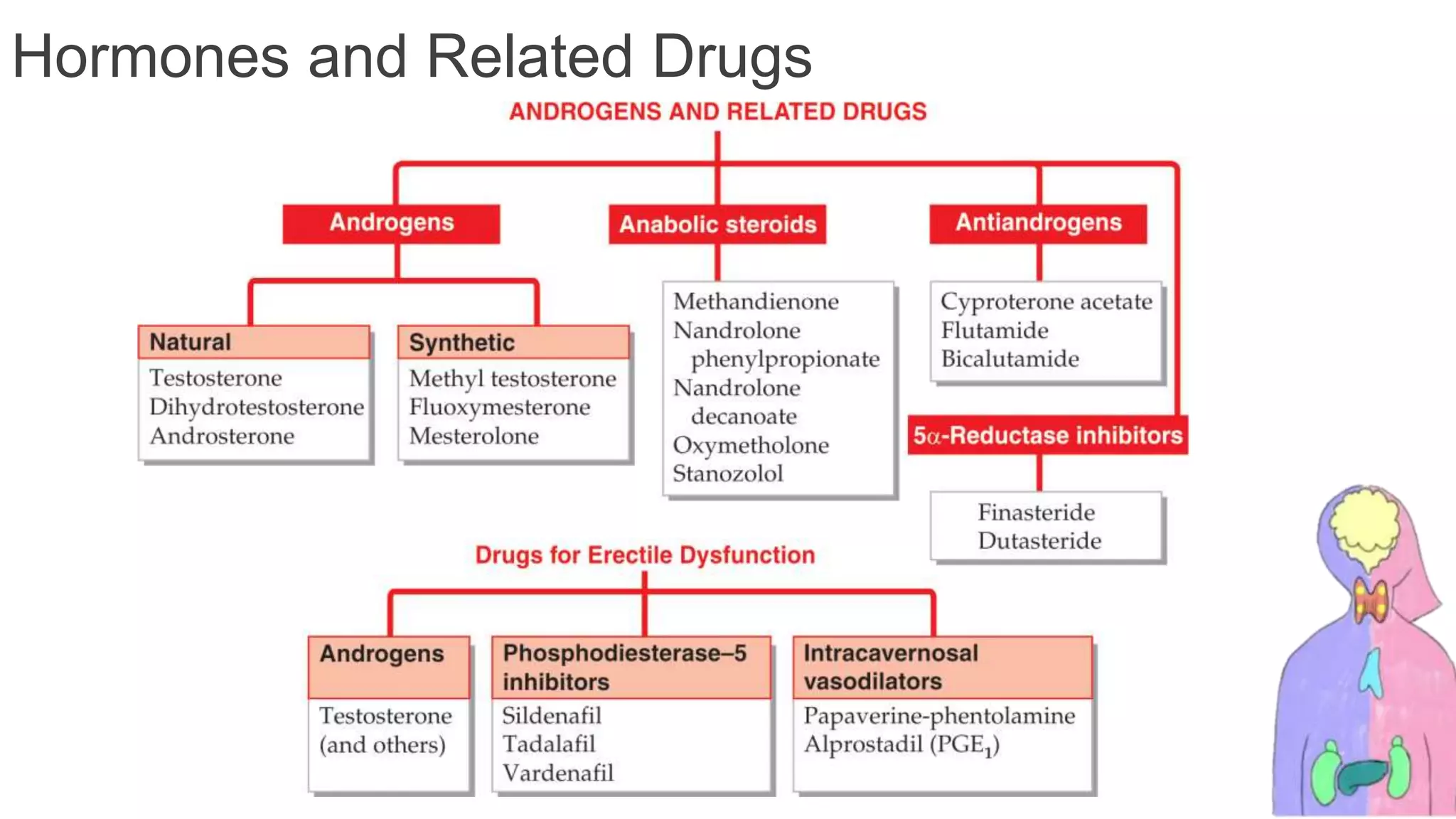 Pharmacological Classification Of Drugs | PPTX