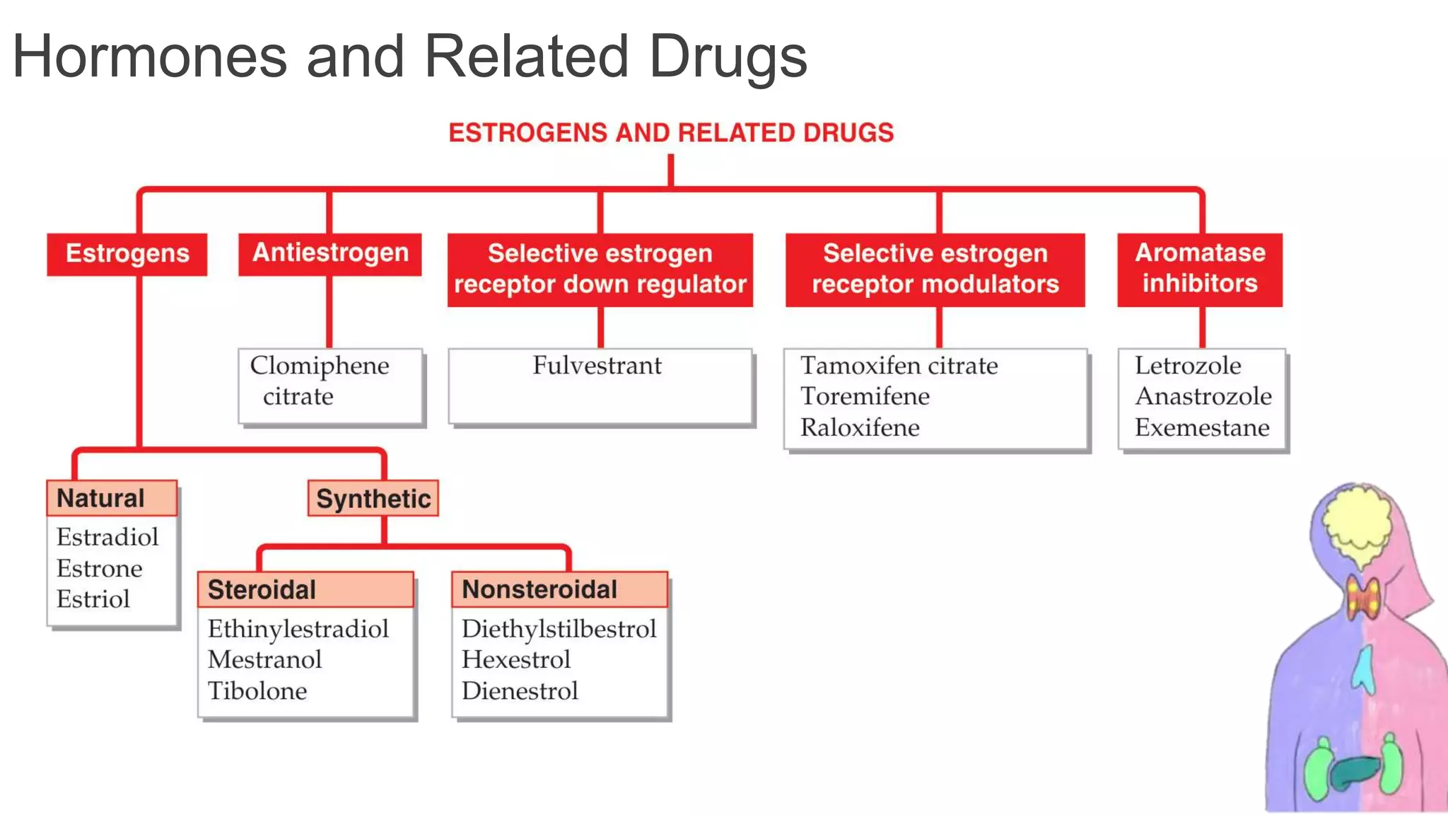 Pharmacological Classification Of Drugs | PPTX