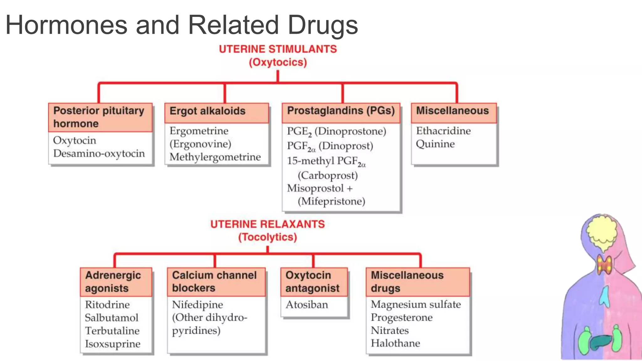 Pharmacological Classification Of Drugs | PPTX