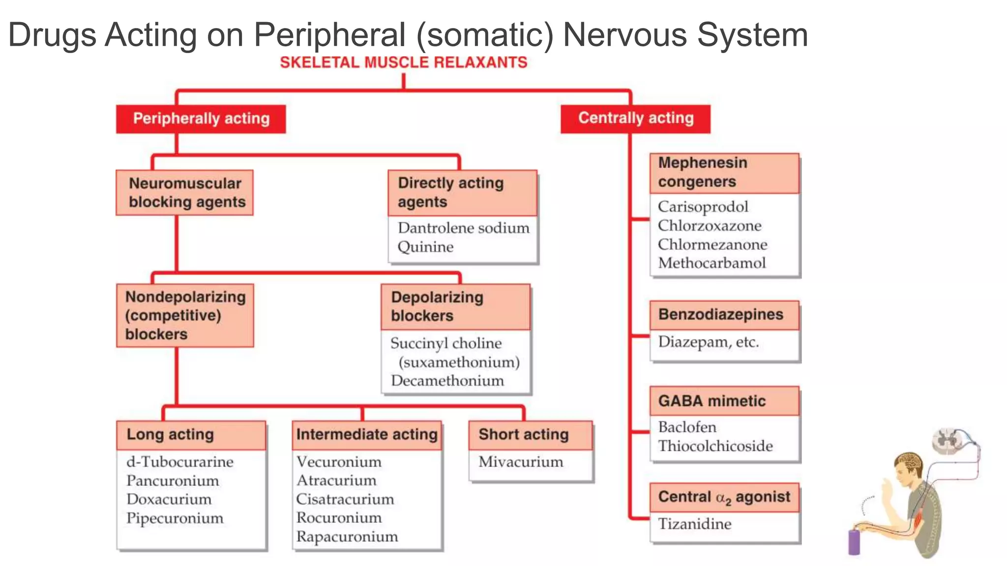 Pharmacological Classification Of Drugs | PPTX