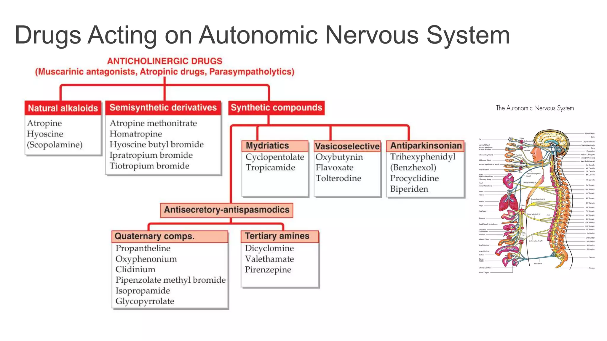 Pharmacological Classification Of Drugs | PPTX
