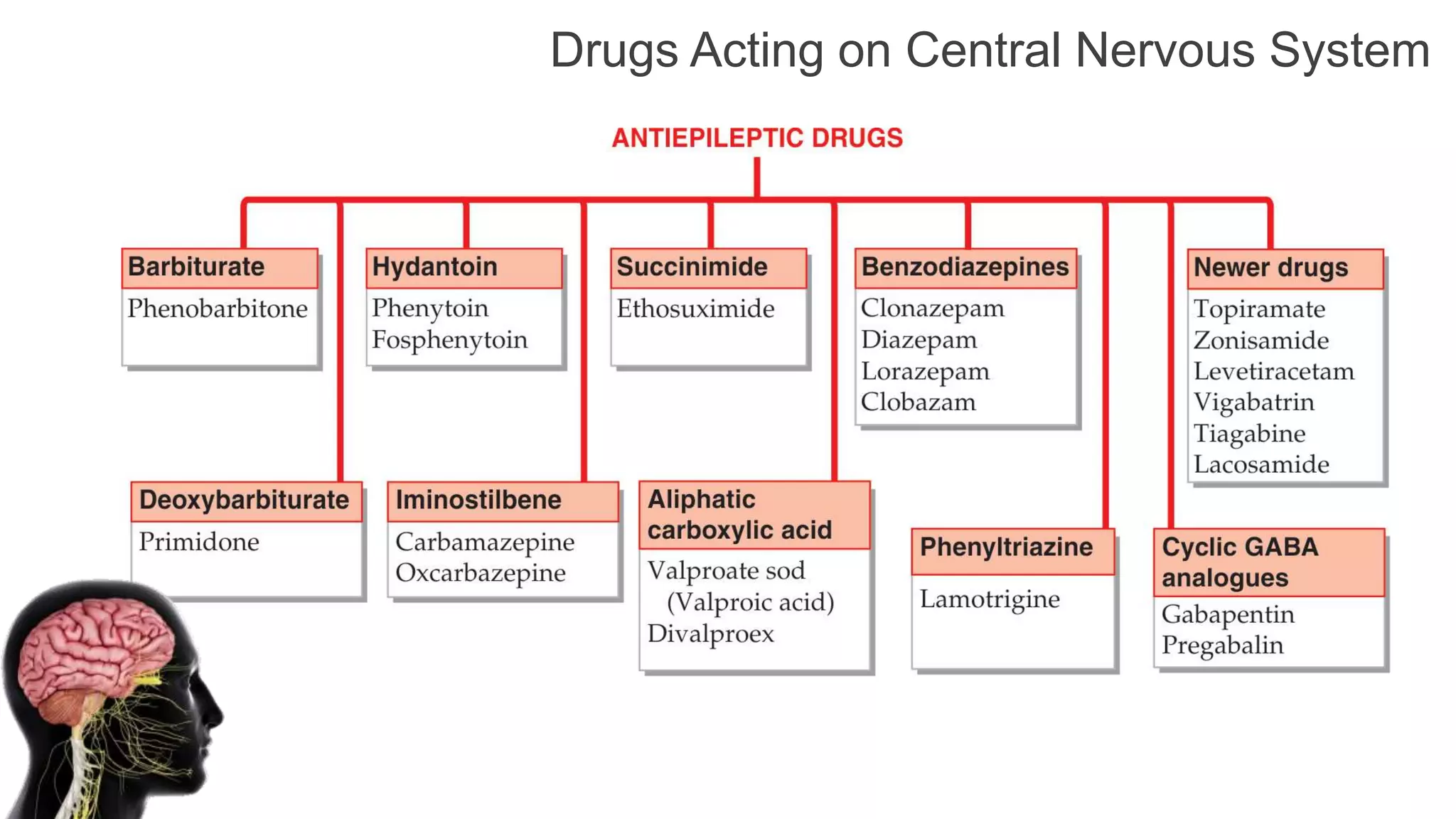 Pharmacological Classification Of Drugs | PPTX