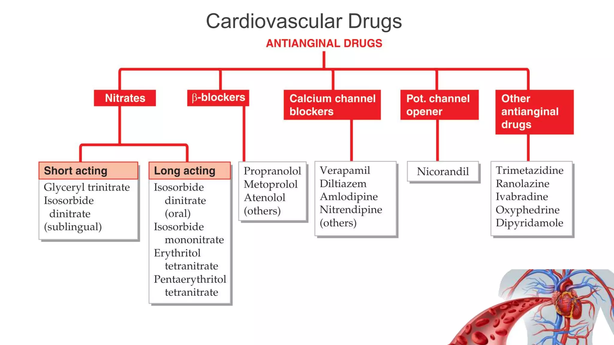 Pharmacological Classification Of Drugs | PPTX