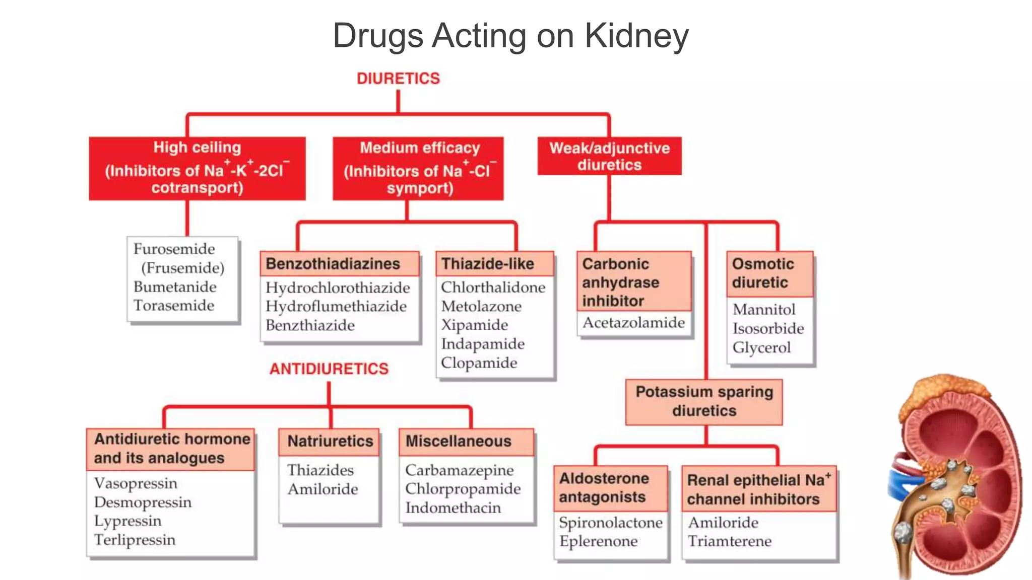 Pharmacological Classification Of Drugs | PPTX